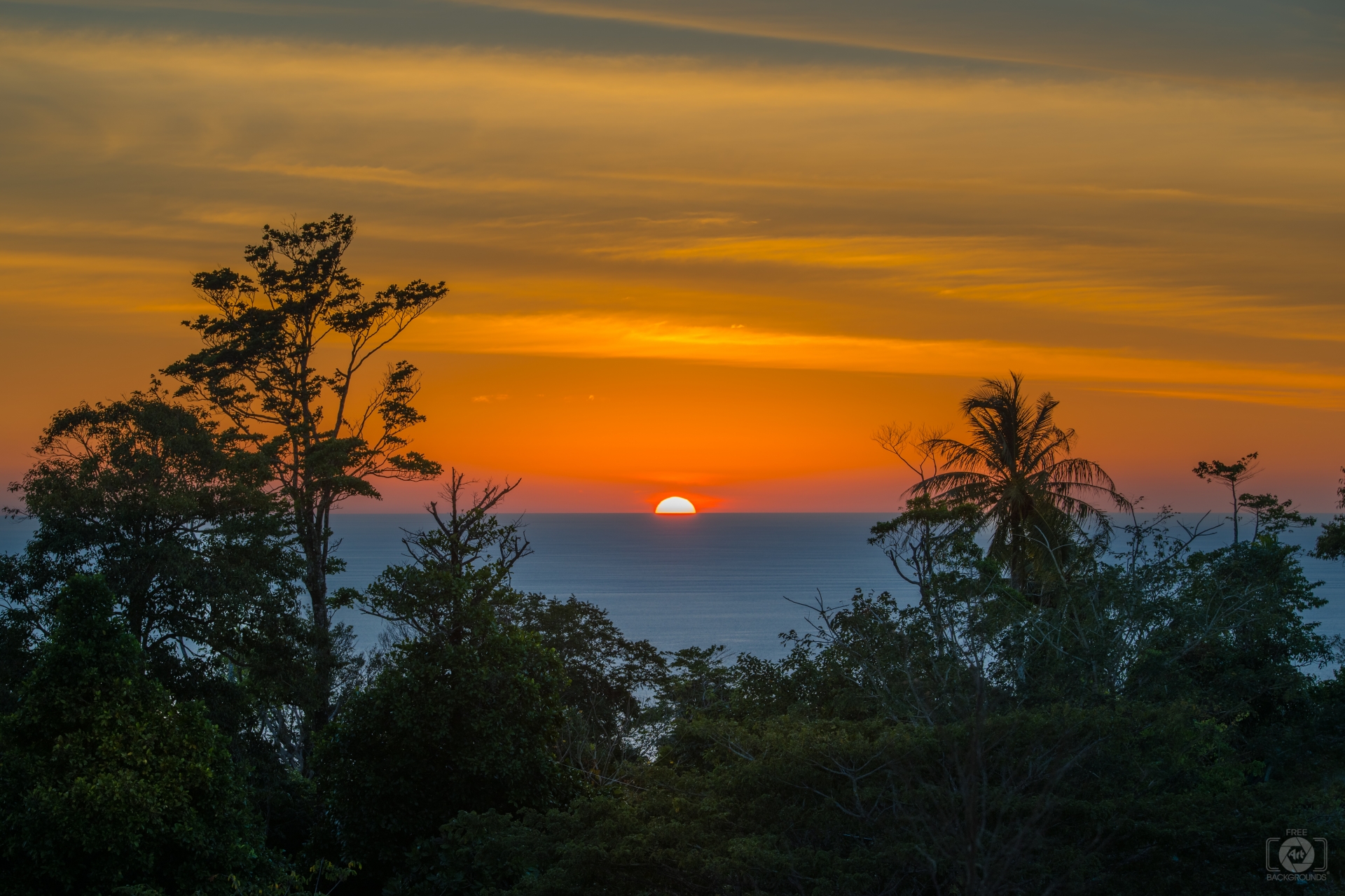 Sea Sunset and Trees Background - High-quality Free Backgrounds